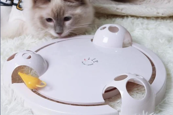 Interactive Mouse Pounce Cat – Dropshipping Winning Products