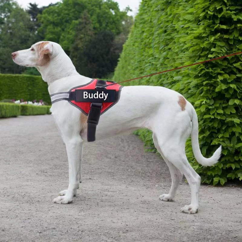 CUSTOM DOG HARNESS – Dropshipping Winning Products