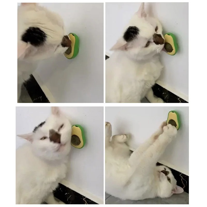 AVOCADO EDIBLE CATNIP WALL BALL – Dropshipping Winning Products