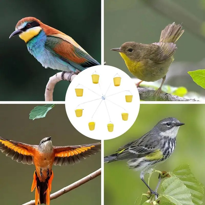 Ferris Wheel Bird Feeder – Dropshipping Winning Products